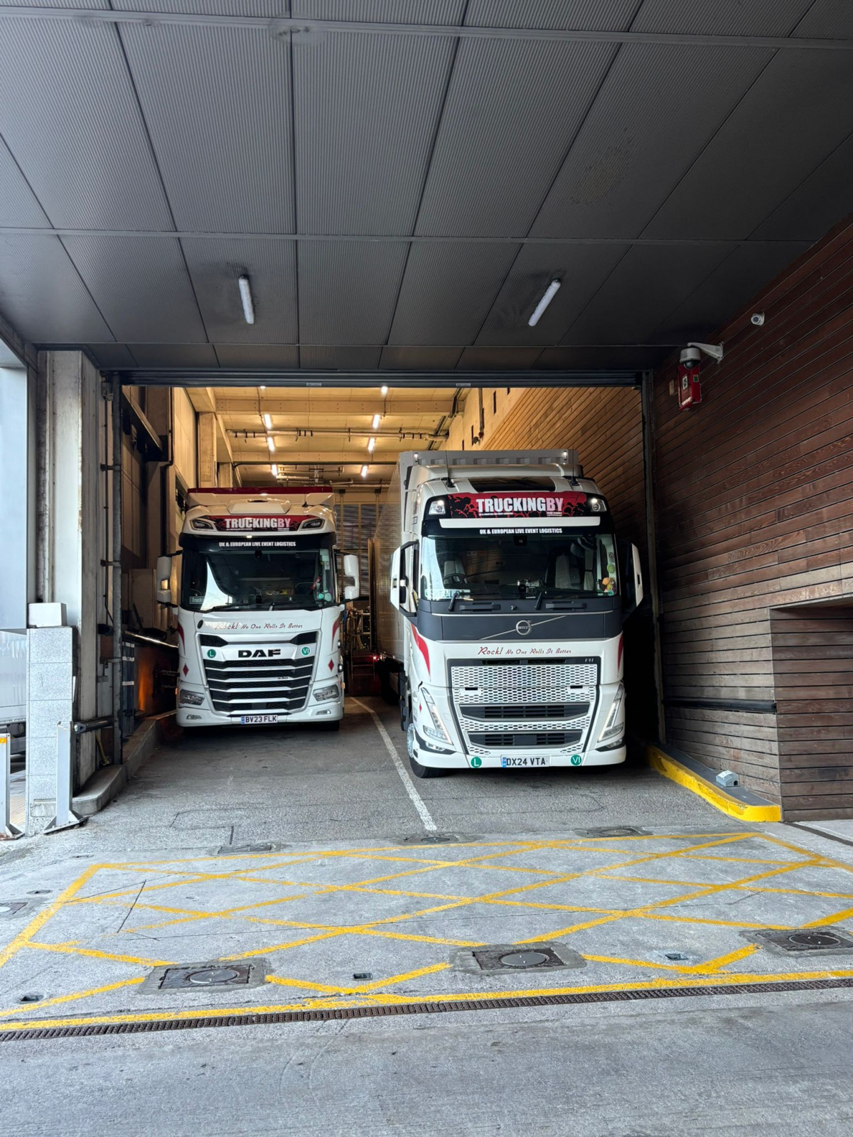 Paw Patrol on Patrol in Dublin